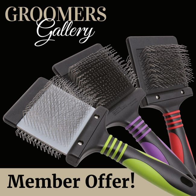 New-Slicker-Set-SMALL-gg - Simpsons