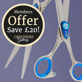 gg-simpsons-offer-scissor - Simpsons