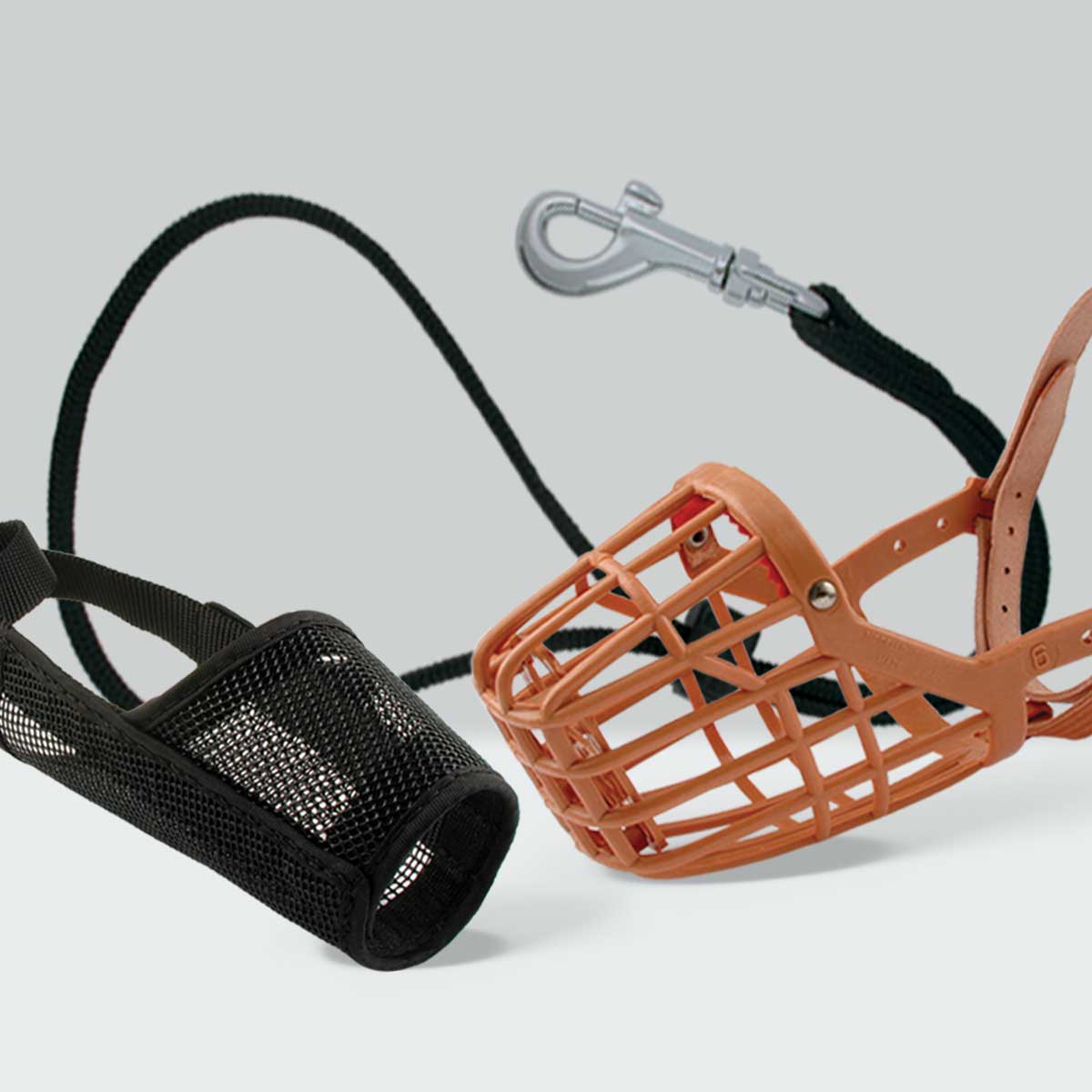 UK’s No 1 choice for dog grooming equipment